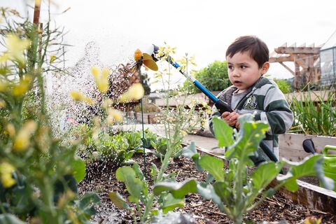9 questions with pro climber and outdoor advocate Anna Pfaff | The ...